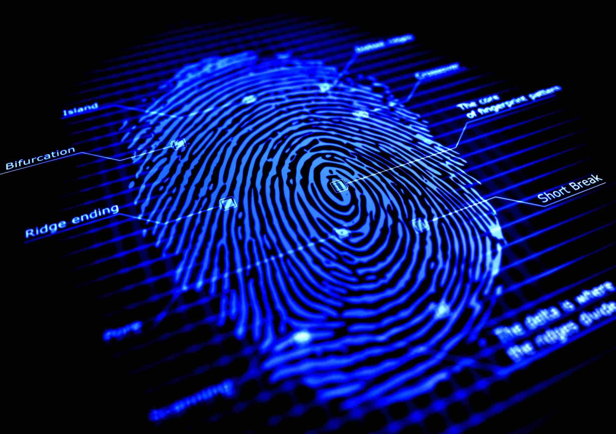 Pratik Absensi Menggunakan Fingerprint. Apa sih, Fingerprint